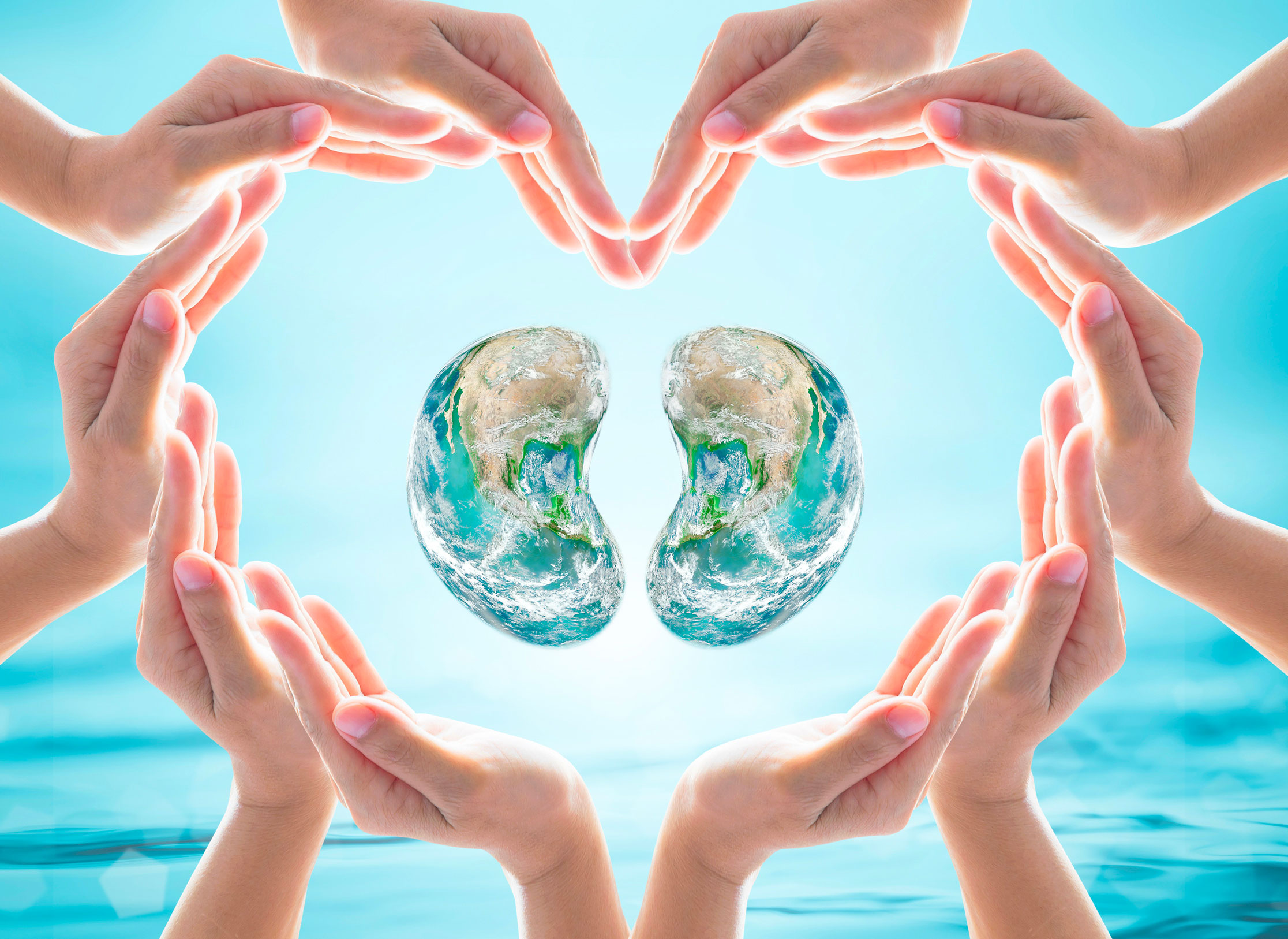 Prendre soin de ses reins, c'est vital pour tous. | Centre