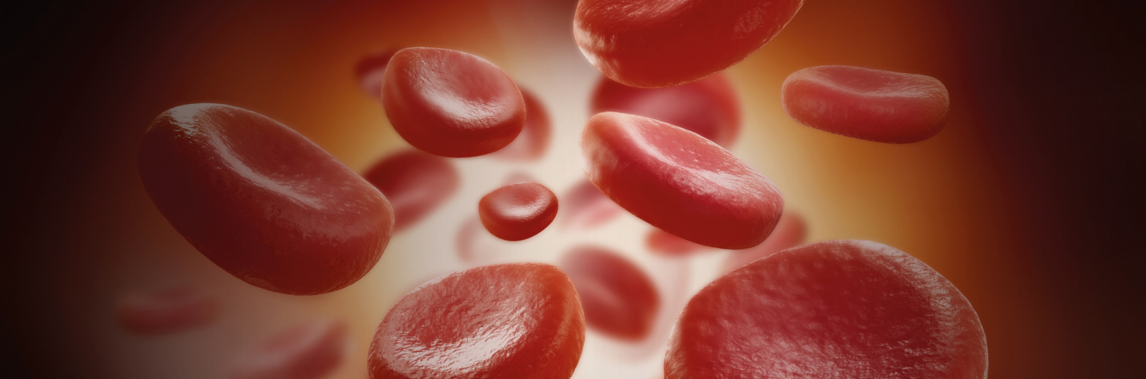 Cancer du sang | Centre